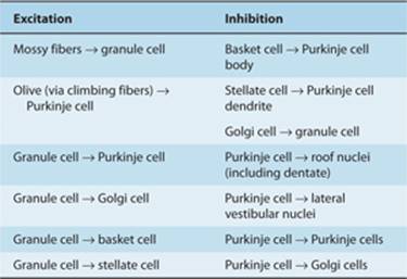 The Brain Stem and Cerebellum - Clinical Neuroanatomy, 27 ed.