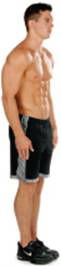 CORE STABILITY EXERCISES - Core Training Anatomy: An Insider's Guide to ...