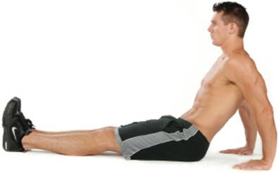 CORE STABILITY EXERCISES - Core Training Anatomy: An Insider's Guide to ...