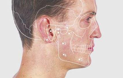 Ear Surface Anatomy