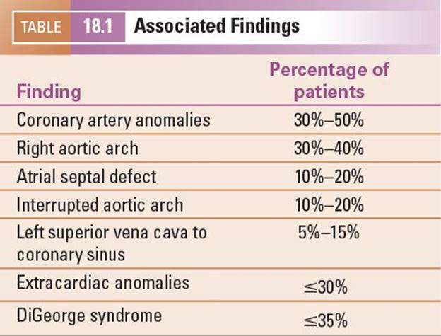 Truncus Arteriosus - Echocardiography in Pediatric and Adult Congenital ...