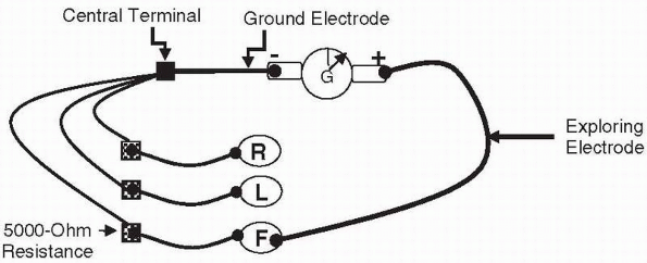 The Lead System - Basic and Bedside Electrocardiography, 1st Edition (2009)
