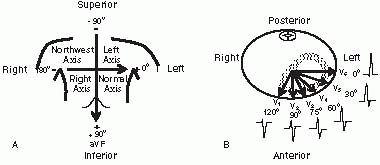 The Electrical Axis and Cardiac Rotation - Basic and Bedside ...