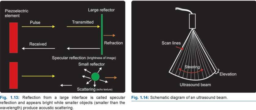 Echocardiography: Basic Principles, Technique, Display and ...