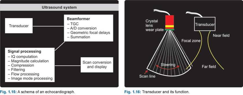 Echocardiography: Basic Principles, Technique, Display and ...