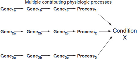 Multifactorial Inheritance and Gene × Environment Interactions ...