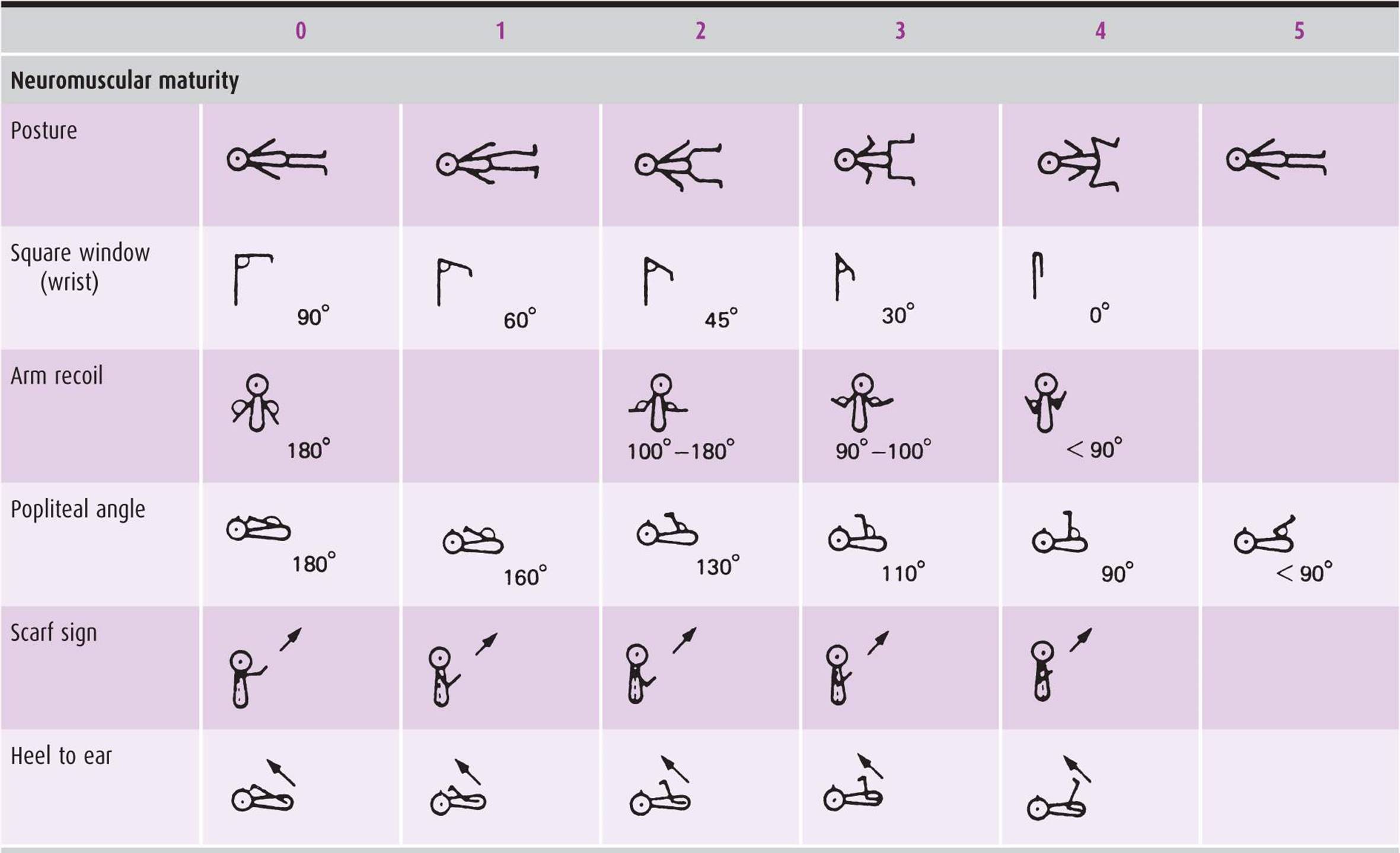 Normal Newborn Assessment and Care - Current Diagnosis & Treatment ...