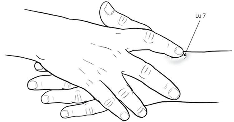 The Acupressure Points: Names, Locations, and Functions - Holistic Self ...