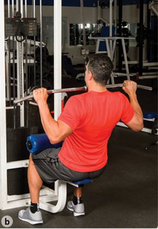 Enhancing Your Muscular Fitness - ACSM's Complete Guide to Fitness ...