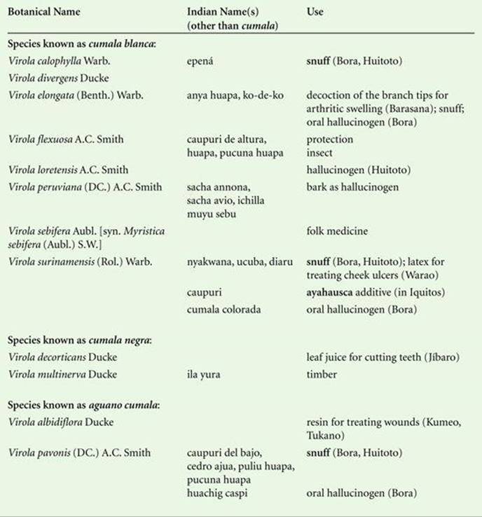Virola - The Most Important Genera and Species from A to Z - The ...