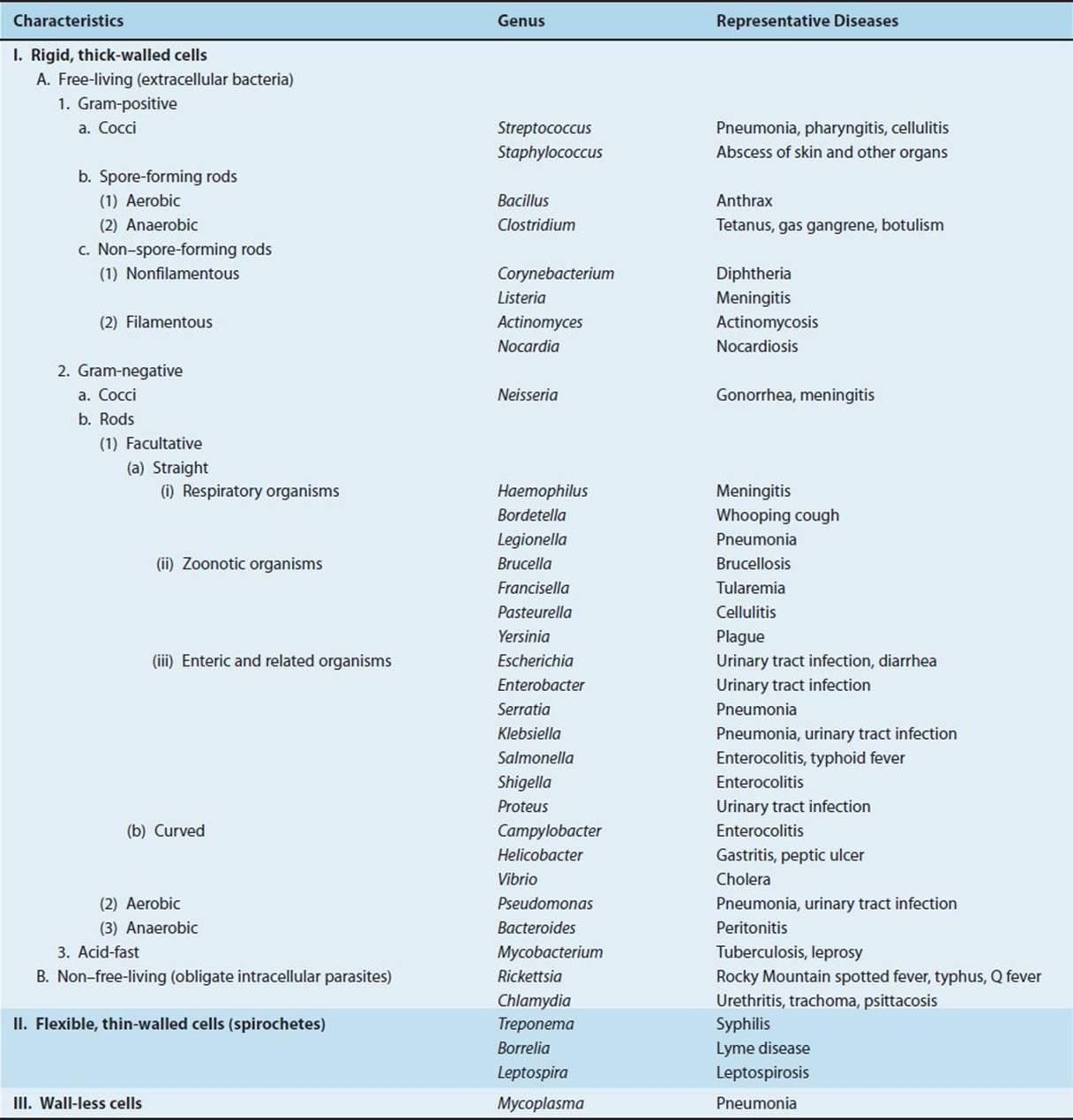 Classification of Medically Important Bacteria - Review of Medical ...