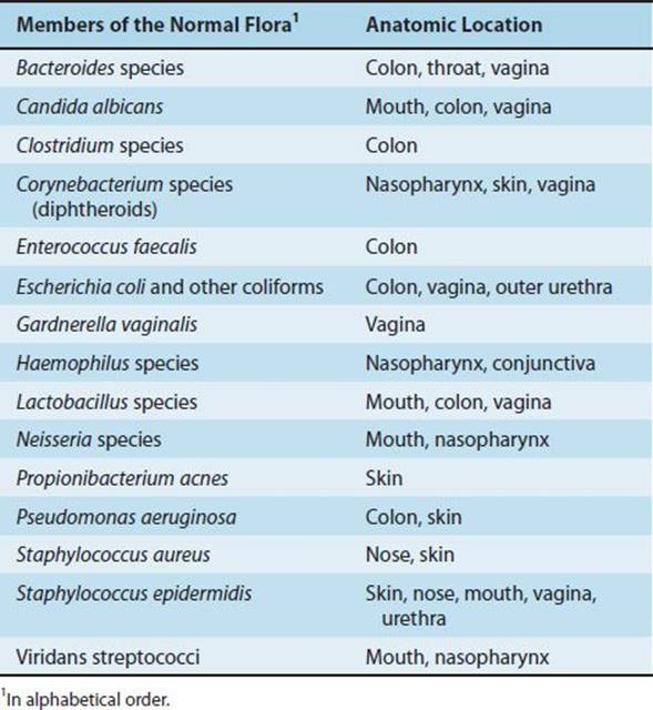 Normal Flora - Review of Medical Microbiology and Immunology, 13th Edition