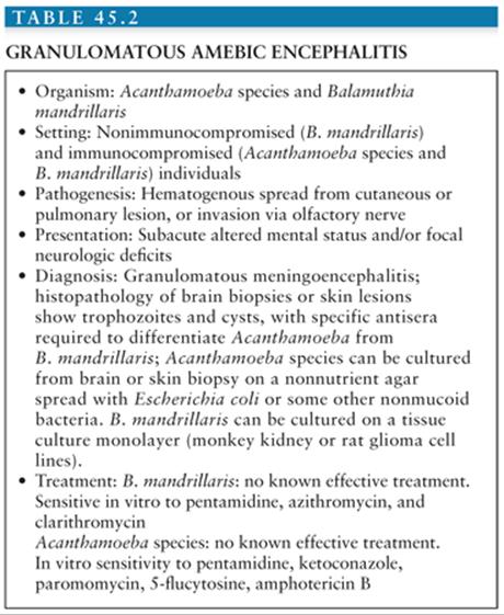 Free-Living and Parasitic Amebic Infections - PROTOZOAL AND ...