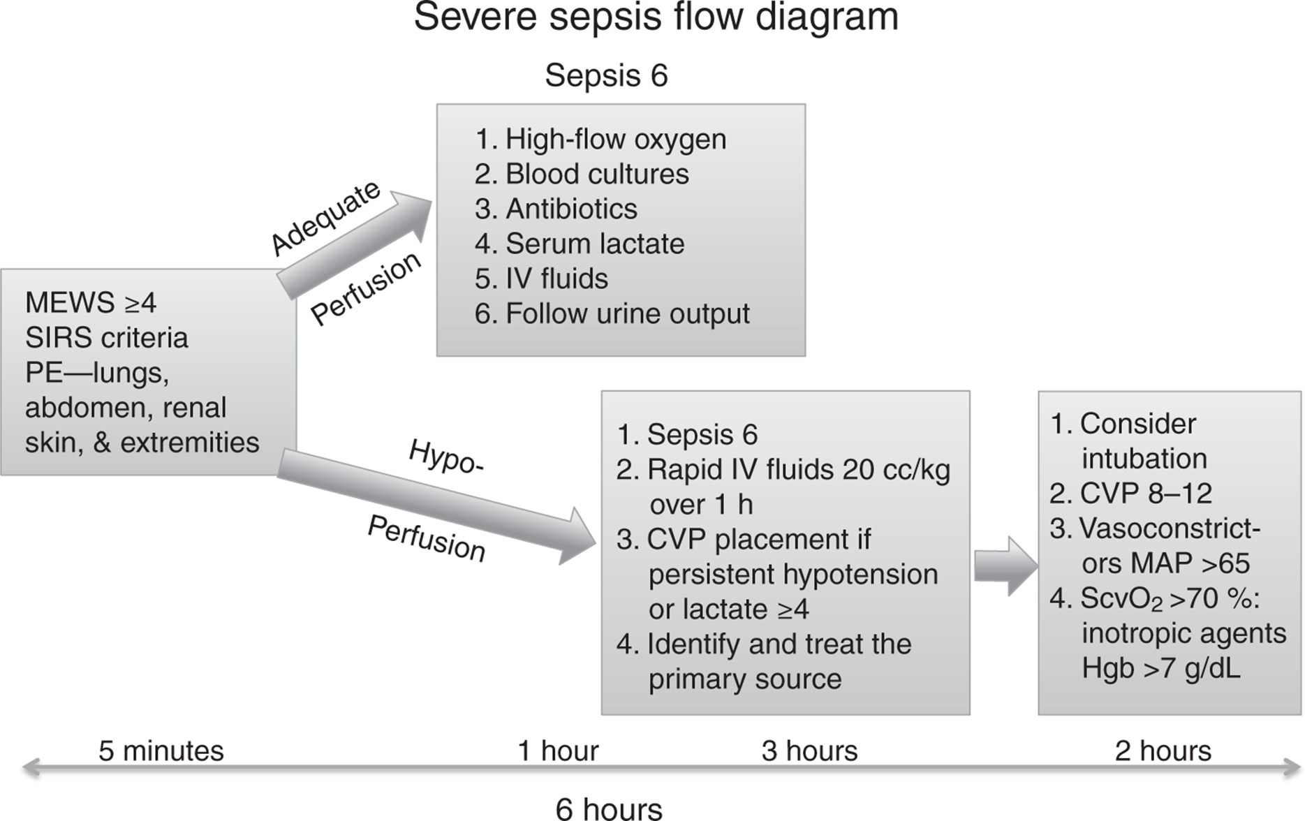 Sepsis Syndrome - Infectious Diseases A Clinical Short Course, 3rd Edition