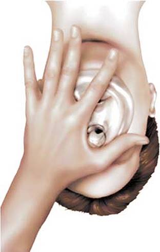 Supplemental Oxygenation and Bag-Mask Ventilation - Manual of Emergency ...