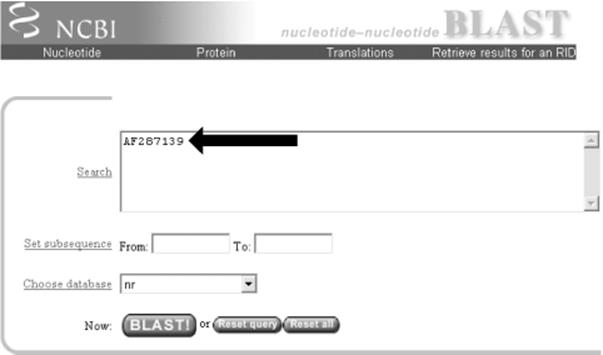 Hello BLAST - BLAST (Basic Local Alignment Search Tool)
