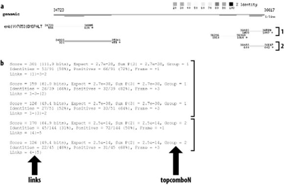 20 Tips to Improve Your BLAST Searches - BLAST (Basic Local Alignment ...