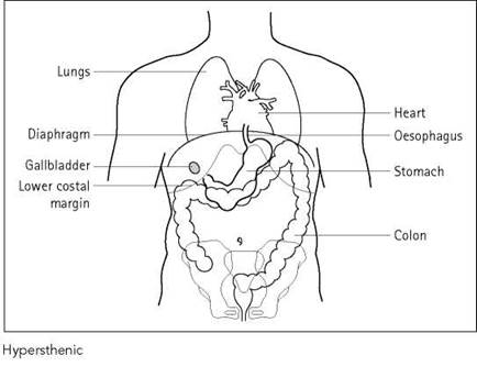 The Abdomen and Pelvic Cavity - Clark's Positioning In Radiography - by ...