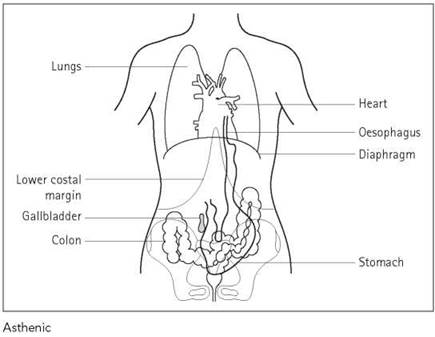 The Abdomen and Pelvic Cavity - Clark's Positioning In Radiography - by ...