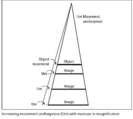 Miscellaneous - Clark's Positioning In Radiography - by A. S. Whitley