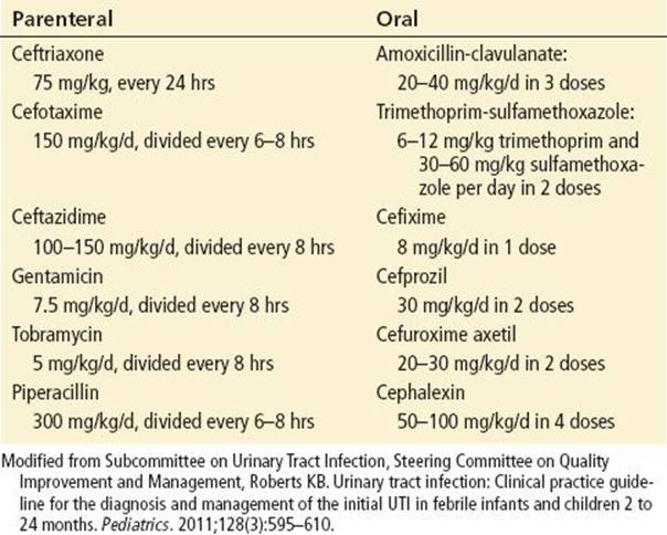 Urinary Tract Infections in Children - Pediatrics - Harwood-Nuss ...
