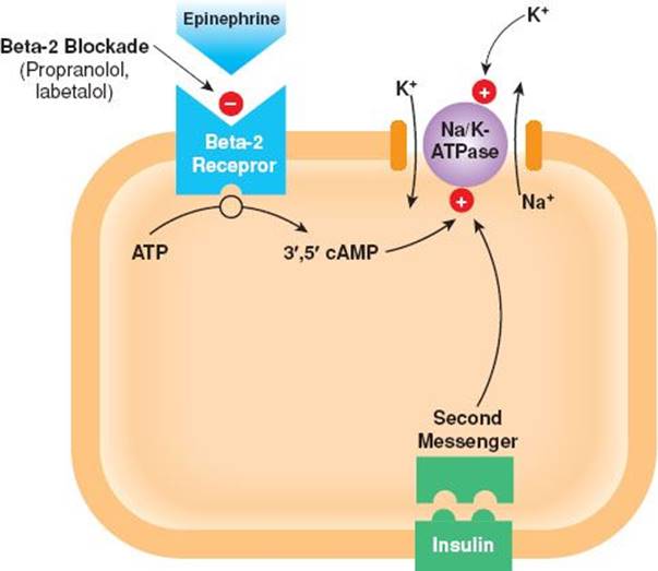 Disorders of Potassium Metabolism - Endocrine and Metabolic Emergencies ...