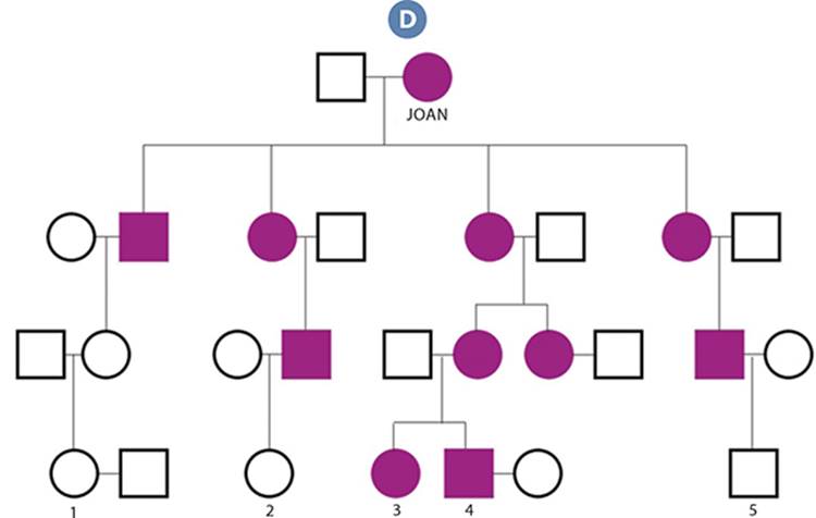 Mitochondrial-DNA (mtDNA) Testing - The Family Tree Guide to DNA ...
