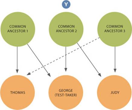 Autosomal-DNA (atDNA) Testing - The Family Tree Guide to DNA Testing ...
