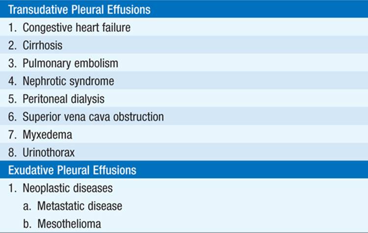 Diseases of the Pleura and Mediastinum - Pulmonology - Harrisons Manual ...