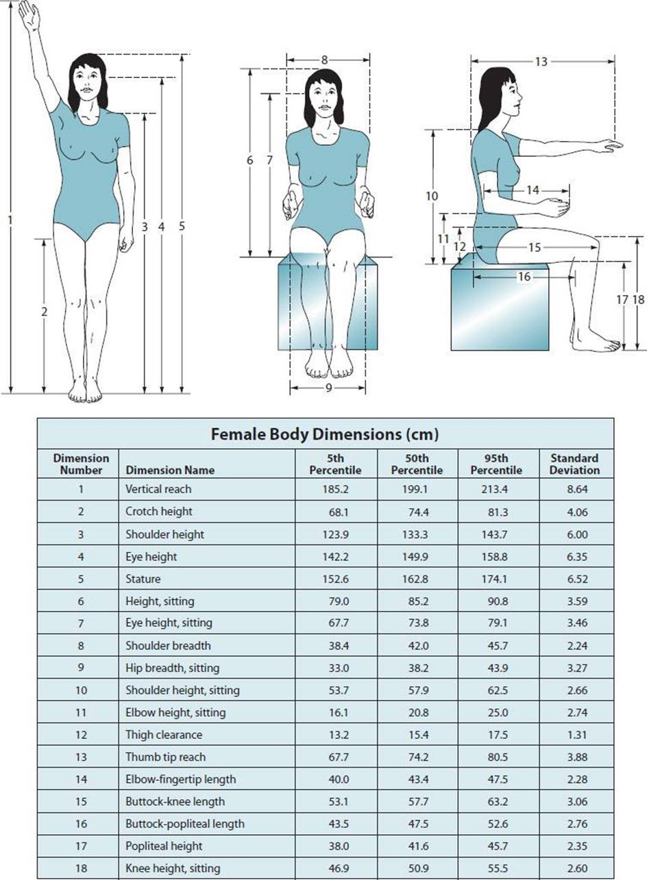 Ergonomics & the Prevention of Occupational Injuries - Occupational ...
