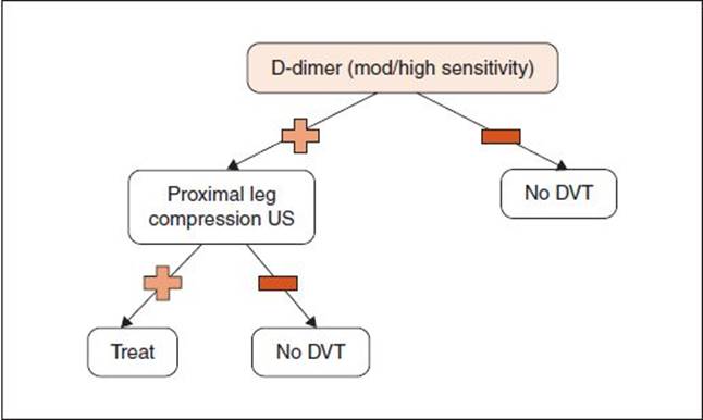 PULMONARY EMBOLISM AND DVT - Pocket Emergency Medicine (Pocket Notebook ...