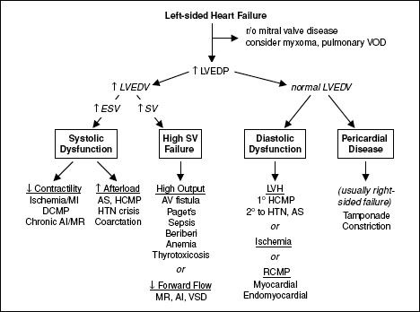 HEART FAILURE - CARDIOLOGY - Pocket Medicine