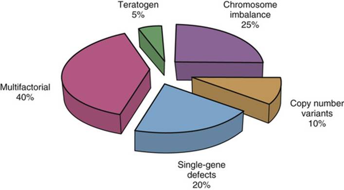 Developmental Genetics and Birth Defects - Thompson & Thompson Genetics ...