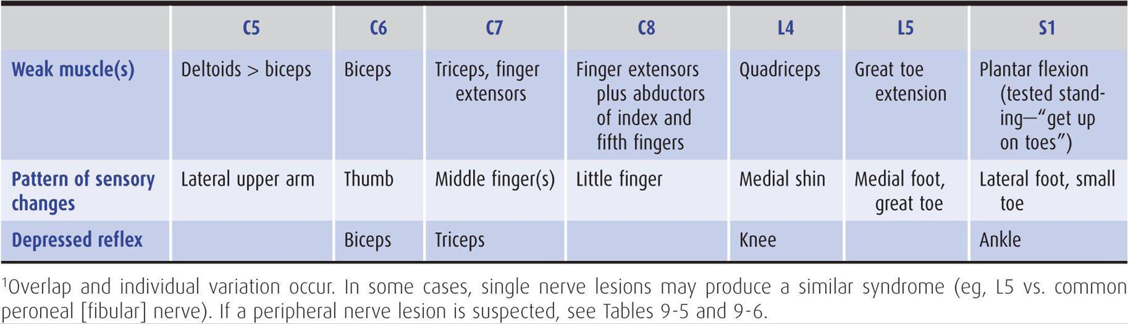 Motor Disorders - Clinical Neurology, 8th Ed.