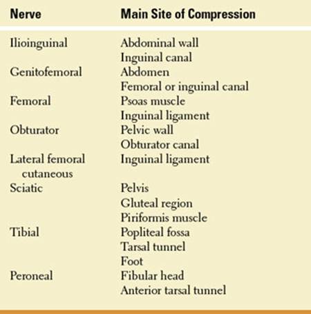 Peripheral Nerves - Localization in Clinical Neurology, 6 Ed.