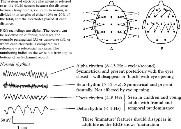 INVESTIGATIONS OF THE CENTRAL AND PERIPHERAL NERVOUS SYSTEMS ...