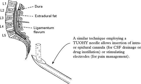 INVESTIGATIONS OF THE CENTRAL AND PERIPHERAL NERVOUS SYSTEMS ...