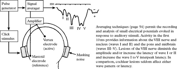 INVESTIGATIONS OF THE CENTRAL AND PERIPHERAL NERVOUS SYSTEMS ...