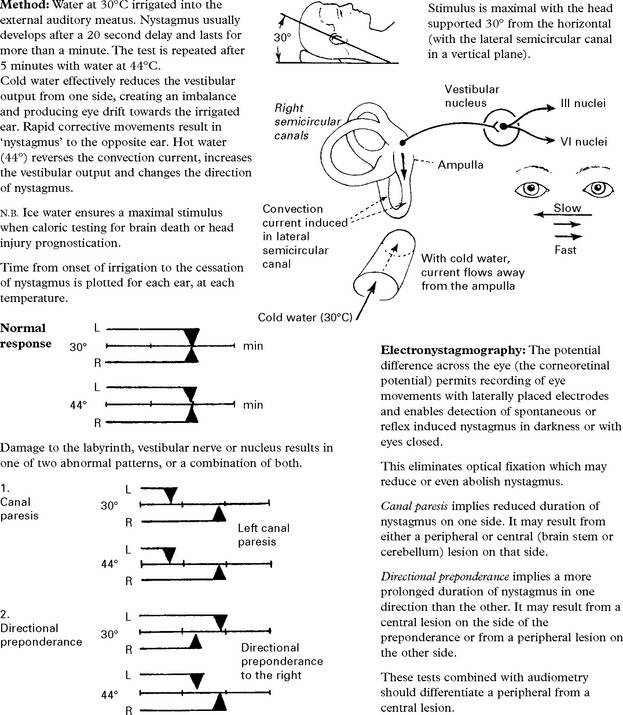 INVESTIGATIONS OF THE CENTRAL AND PERIPHERAL NERVOUS SYSTEMS ...