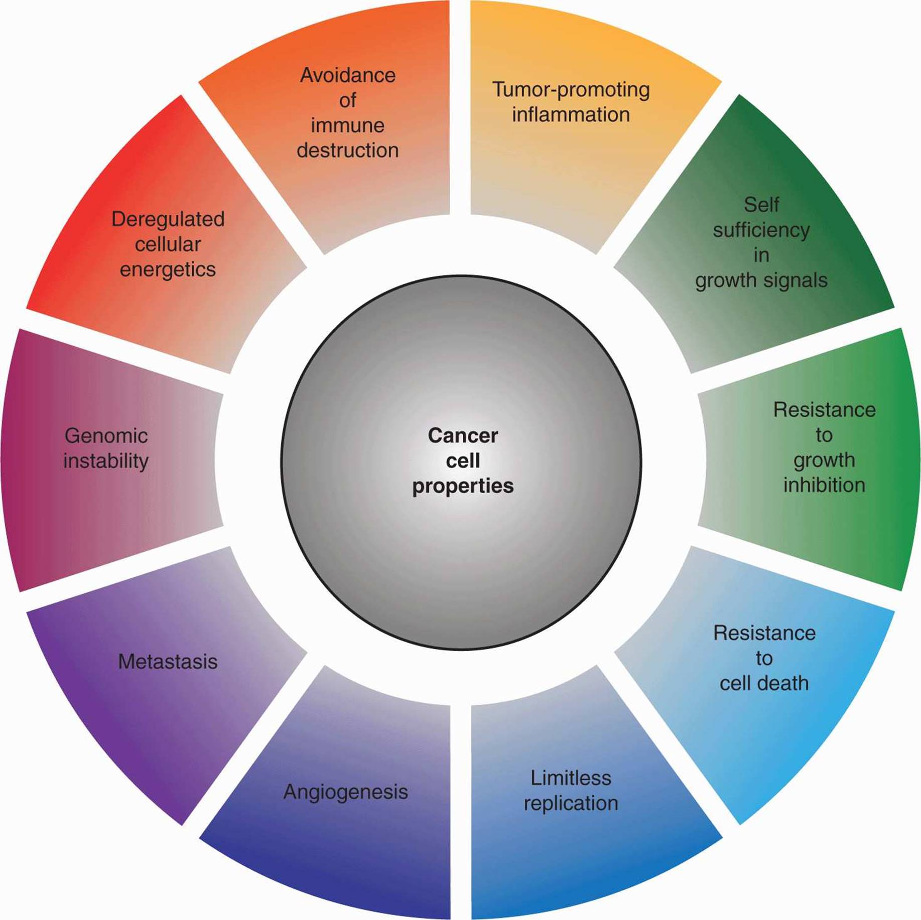 Oncogenes and Tumor-Suppressor Genes - Basic Science of Oncology ...