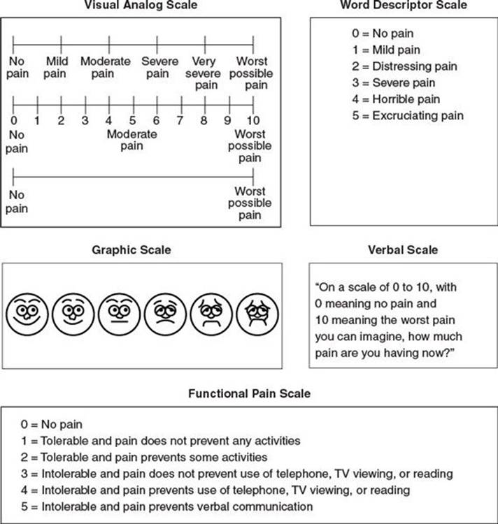 Pain and Palliative Care - The Bethesda Handbook of Clinical Oncology ...