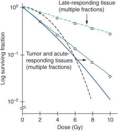 Principles of Radiation Therapy - Gynecologic Oncology: Clinical ...
