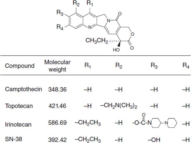 Topoisomerase Inhibitors: Camptothecins, Anthracyclines, and Etoposide ...