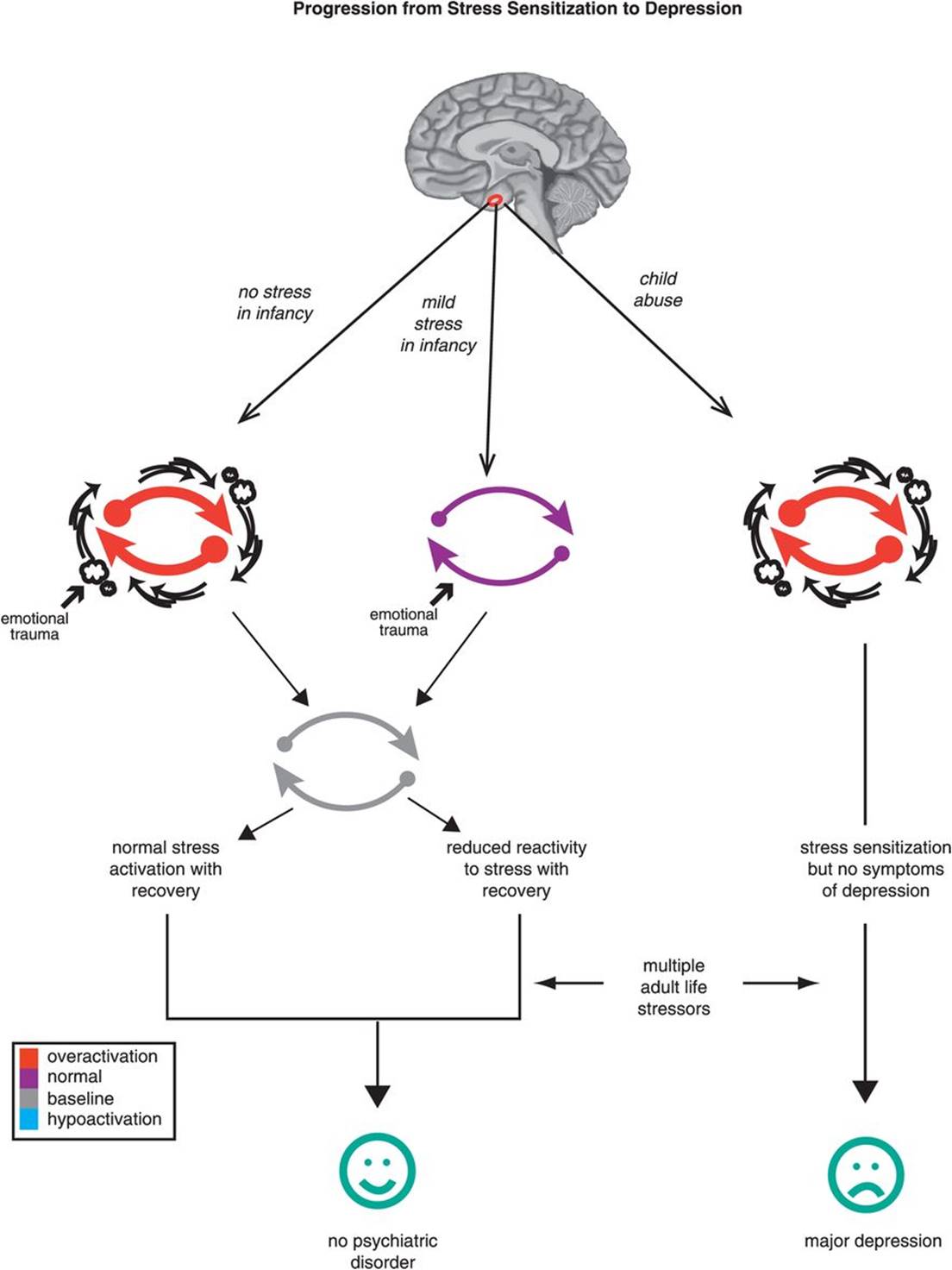 Mood disorders - Vaughan & Asburys General Ophthalmology, 17th ed.