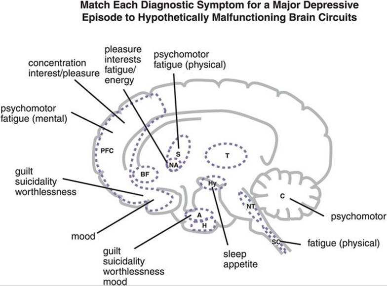 Mood disorders - Vaughan & Asburys General Ophthalmology, 17th ed.