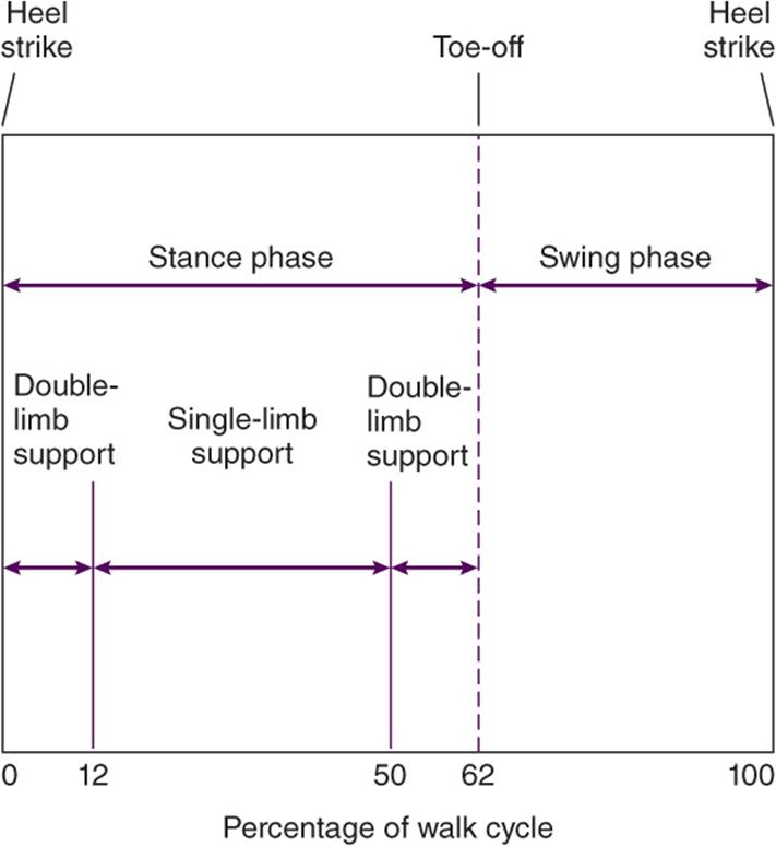Foot and Ankle Surgery - Current Diagnosis & Treatment in Orthopedics ...