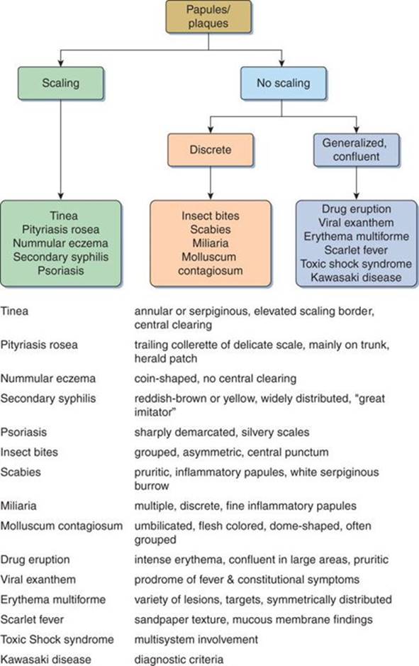 Approach to the Patient with Rash - Cardinal Presentations - Strange ...