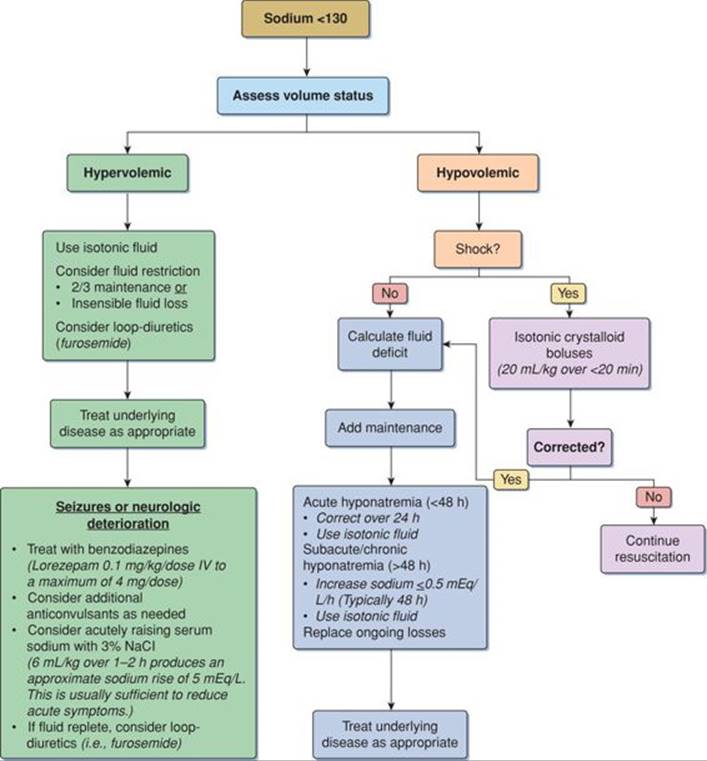 Hypo- and Hypernatremia Abnormalities - Fluid, Electrolyte, and Acid ...