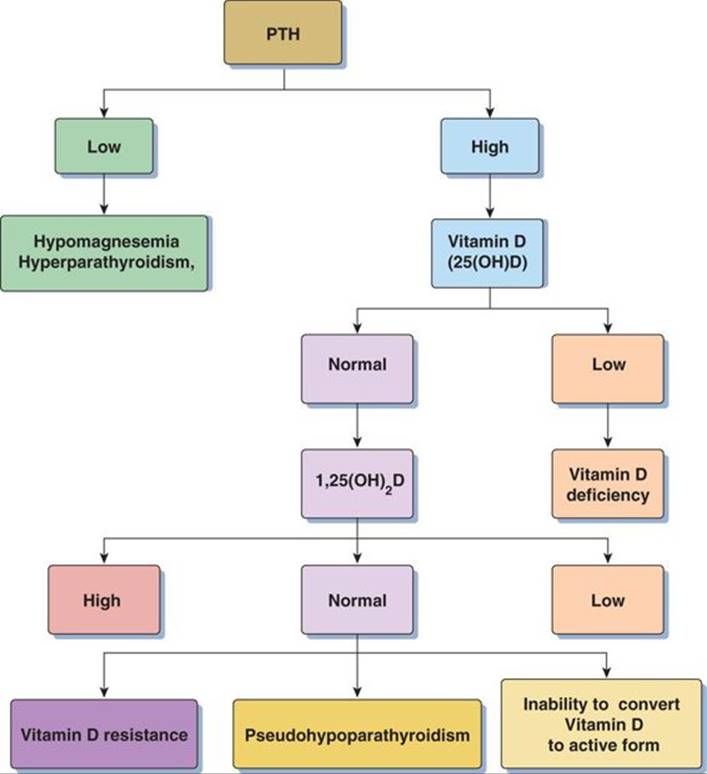 Hypo and Hypercalcemia Abnormalities - Fluid, Electrolyte, and Acid ...