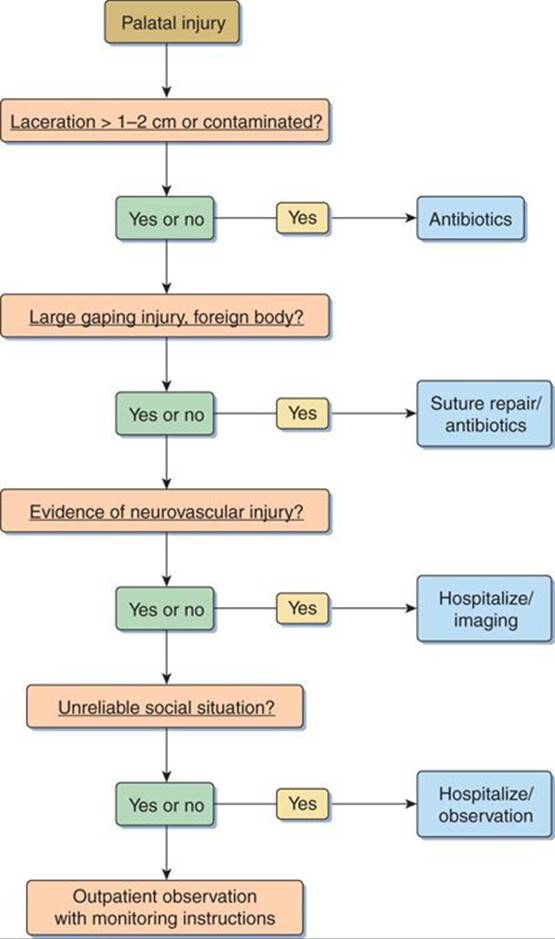Emergencies of the Oral Cavity and Neck - Otolaryngologic - Strange and ...